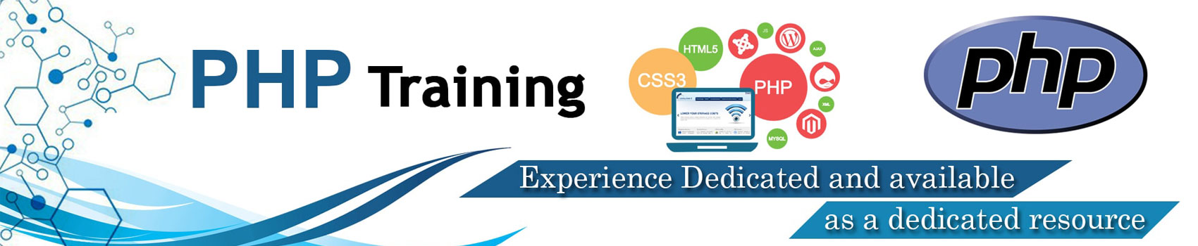 PHP - Most Used Web Development Language | Dev & IT Training | Chennai ...